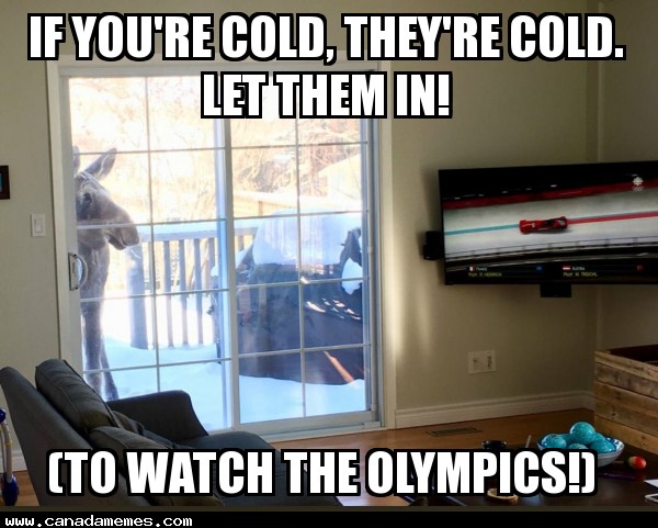 If you're cold, they're cold. Let them in! (to watch the olympics ...