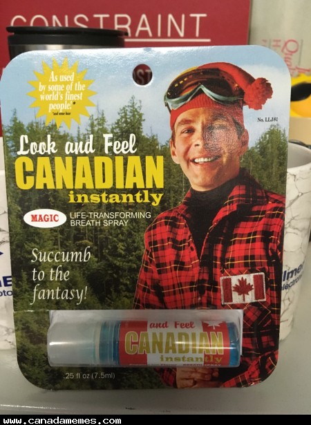 🇨🇦 It's probably All Dressed or Maple Syrup flavoured - 🇨🇦 Canada Memes