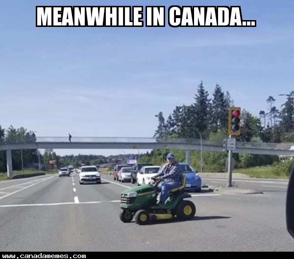 🇨🇦 Meanwhile in Canada... - 🇨🇦 Canada Memes