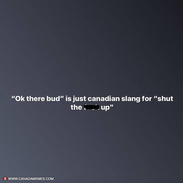 Ok there Bud - 🇨🇦 Canada Memes