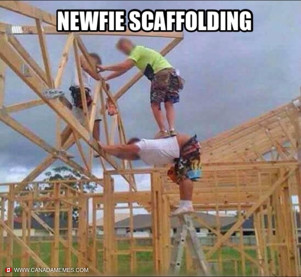 Newfie Scaffolding - 🇨🇦 Canada Memes