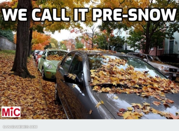 Pre-Snow in Canada - 🇨🇦 Canada Memes