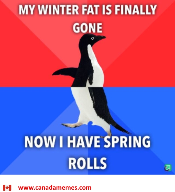 Spring Roll Memes